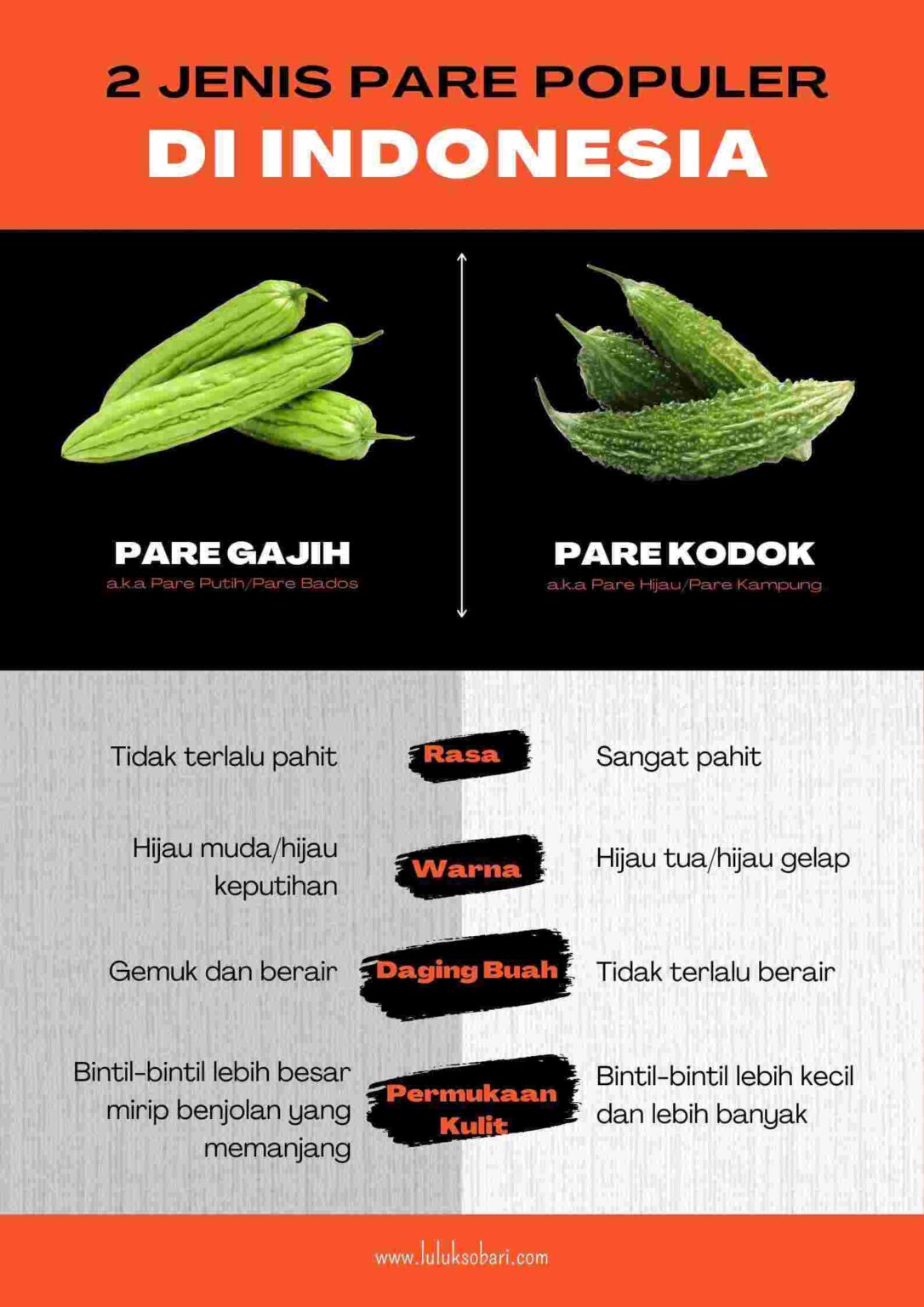 √ Jenis-Jenis Buah Pare yang Populer di Indonesia