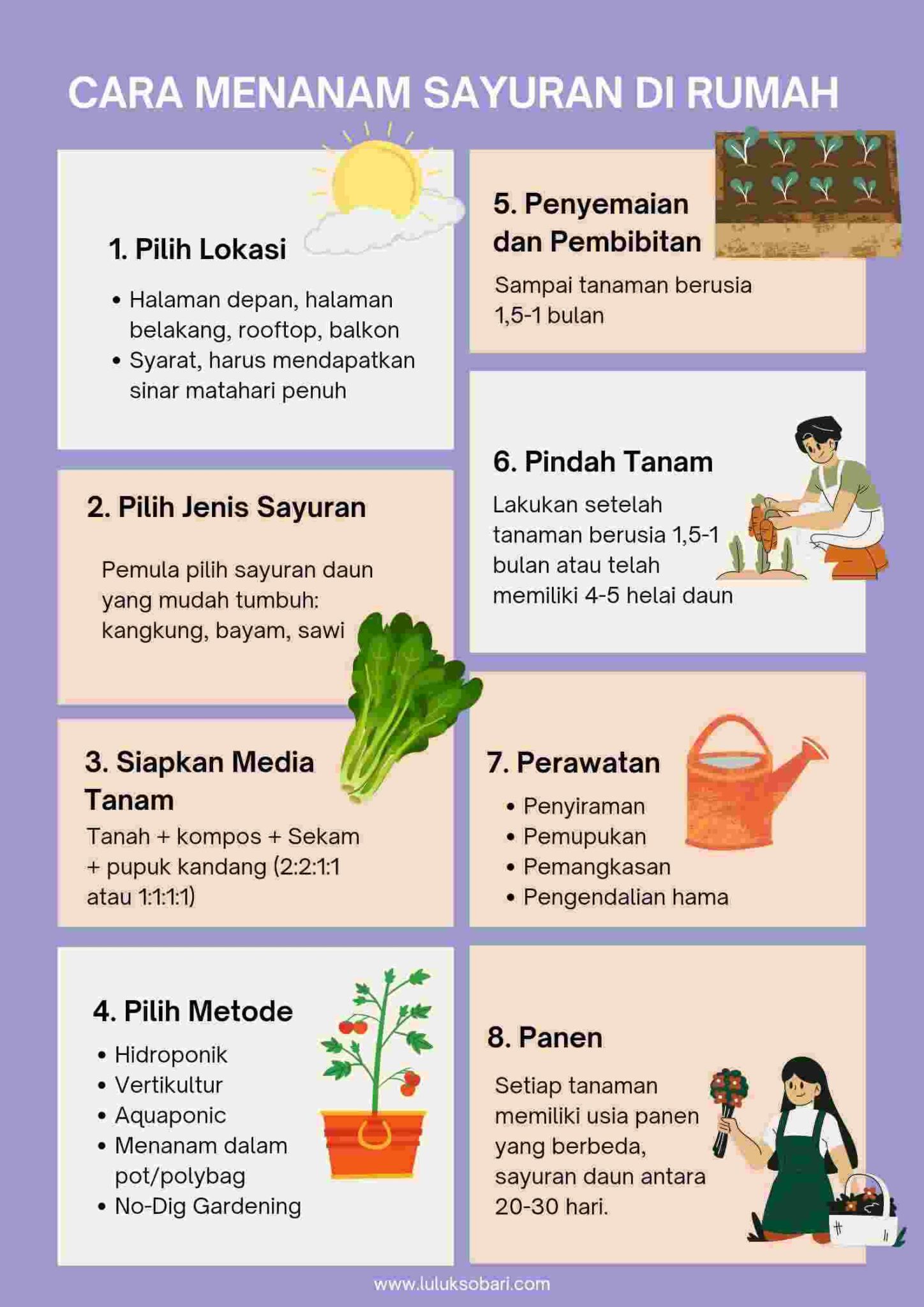 √ Petunjuk Lengkap: Cara Berkebun Sayuran di Pekarangan Rumah