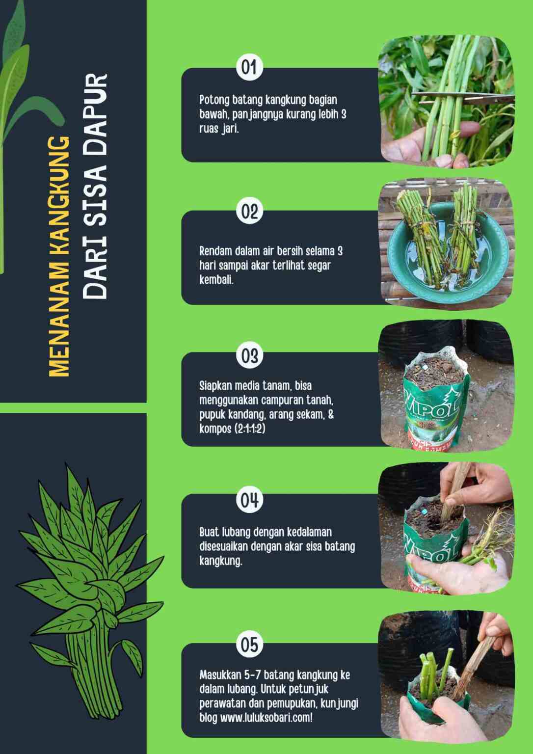 √ Dijamin Berhasil: Cara Menanam Kangkung dari Sisa Dapur